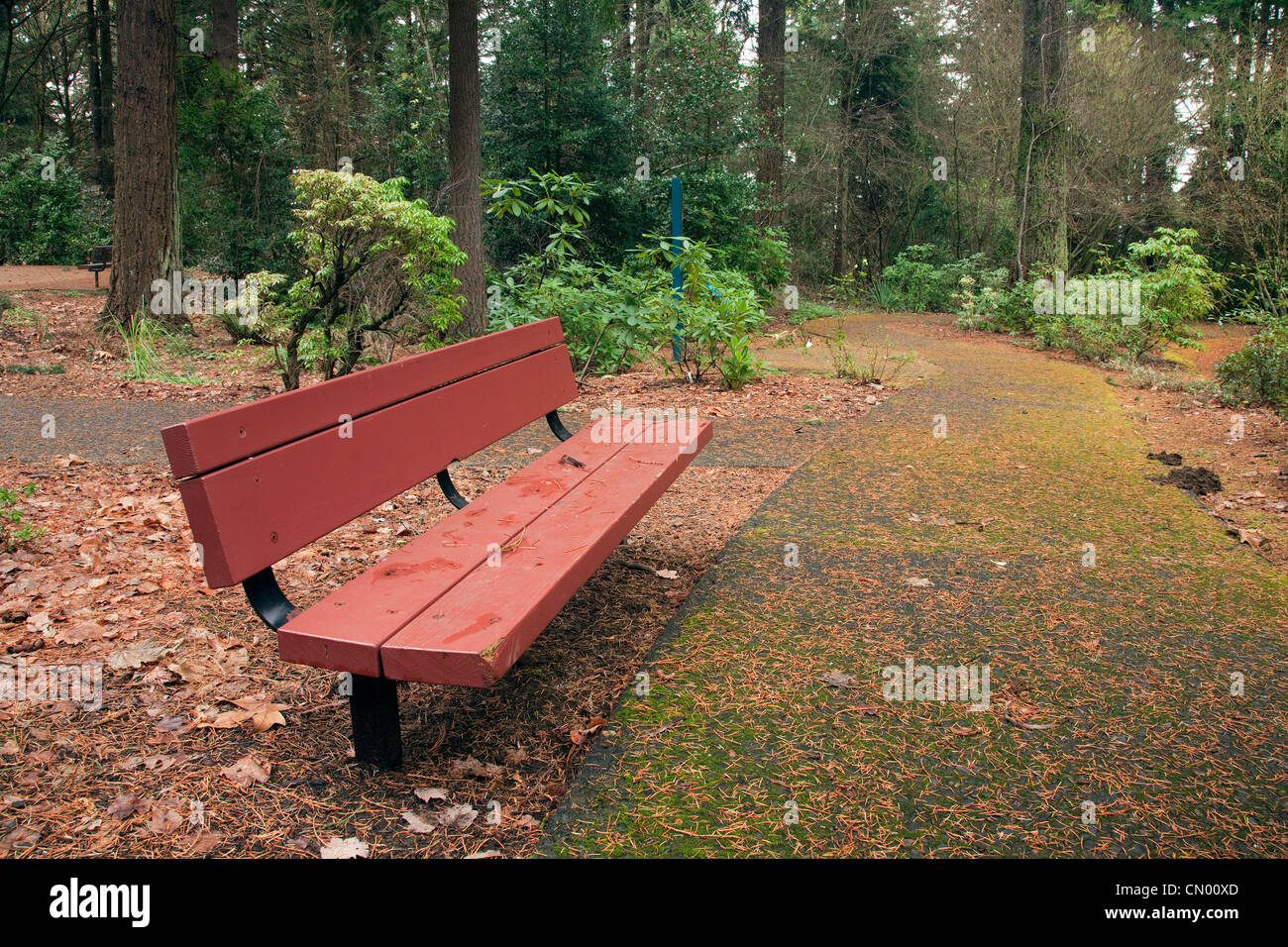 Secluded park bench hi-res stock photography and images - Alamy