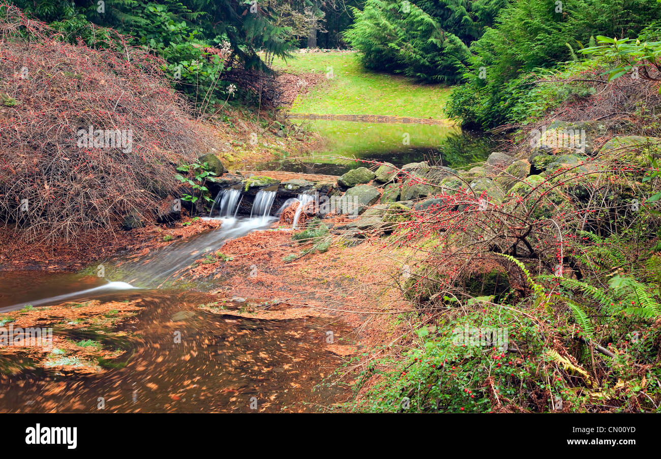 Small waterfall and stream in a park, Portland Oregon Stock Photo - Alamy