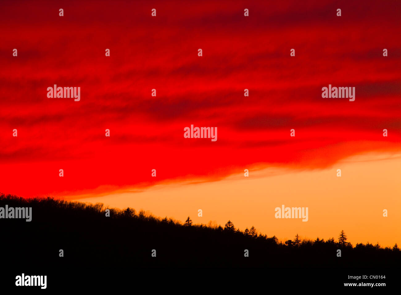Red Sunset Clouds over Forested Hillside, Bedford, Nova Scotia Stock ...