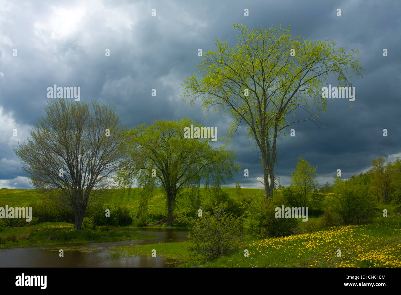 Mount nova scotia hi-res stock photography and images - Alamy