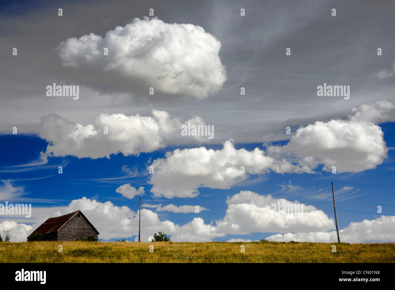 Barn and Summer Clouds, Avondale, Nova Scotia Stock Photo - Alamy