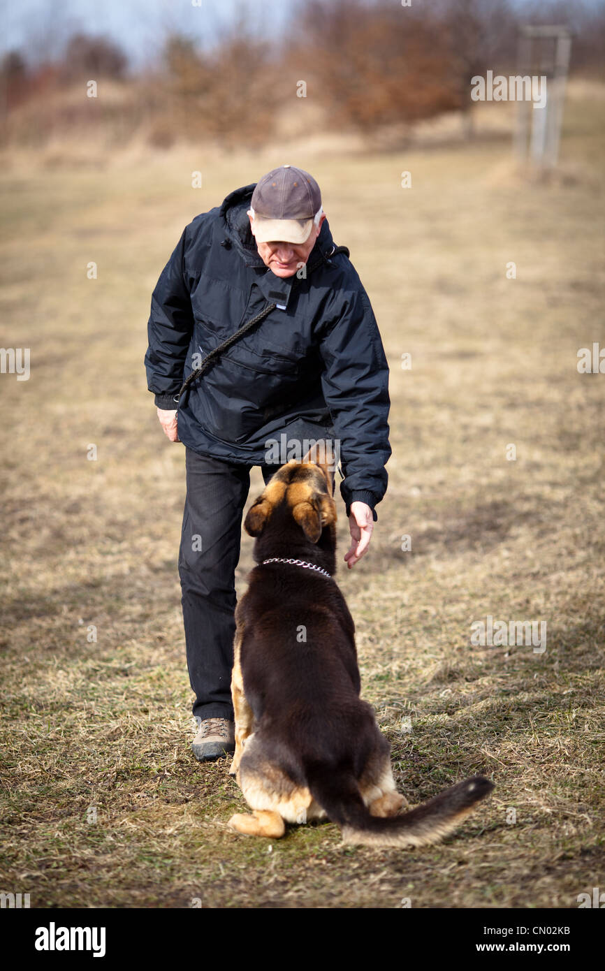 Master and his obedient (German Shepherd) dog Stock Photo - Alamy