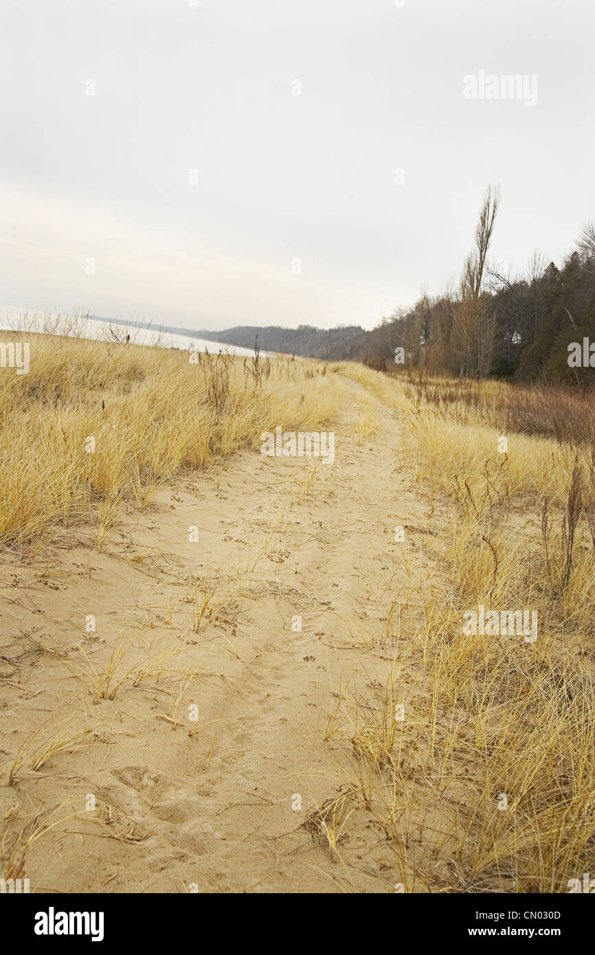 Sandy Beach Trail on Georgian Bay Stock Photo - Alamy