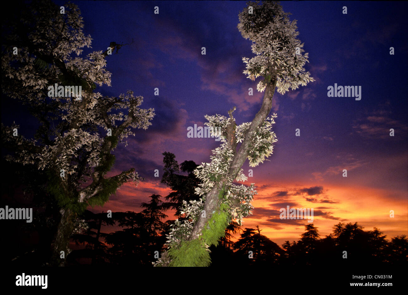 north india ladakh. lhe Stock Photo - Alamy