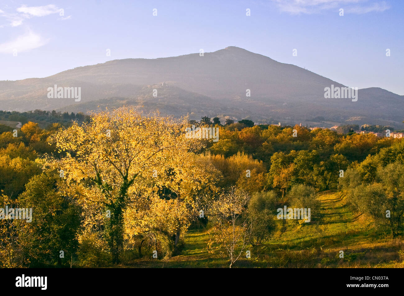 Monte cetona hi-res stock photography and images - Alamy