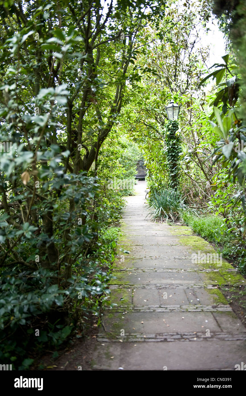 A beautiful color, off-center shot of a brick pathway bordered by trees ...
