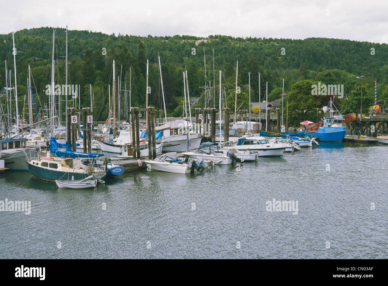 Harbour, Boats Docked in Centennial Wharf, Gulf Islands, Salt Spring ...