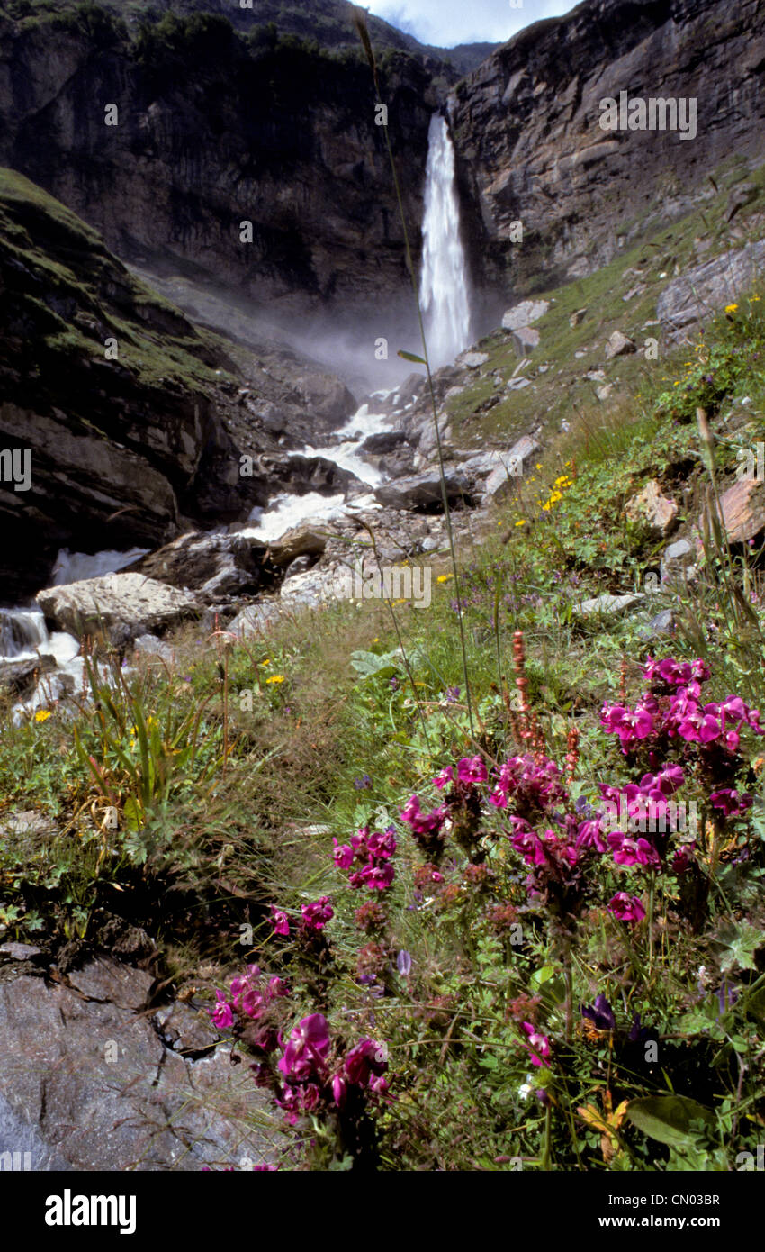Scene from the himalaya mountains in India Stock Photo - Alamy