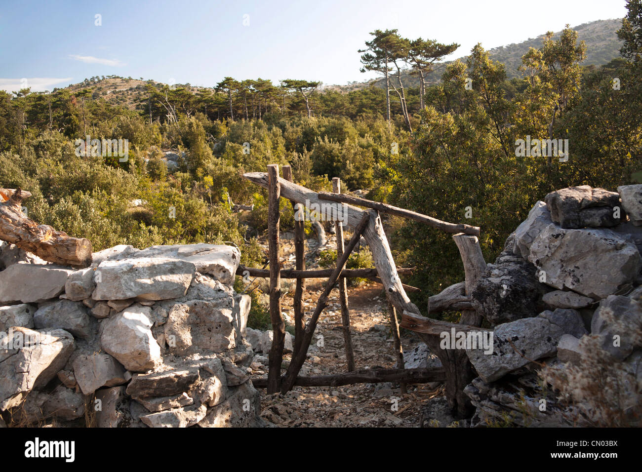 Wooden gate path pathway hi-res stock photography and images - Alamy