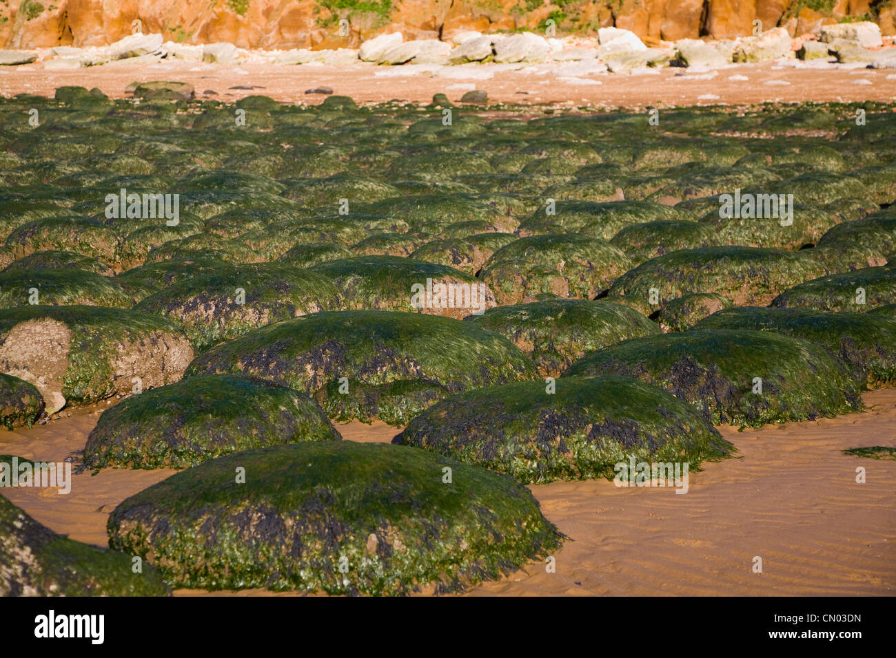 Hunstanton red chalk layer hi-res stock photography and images - Alamy