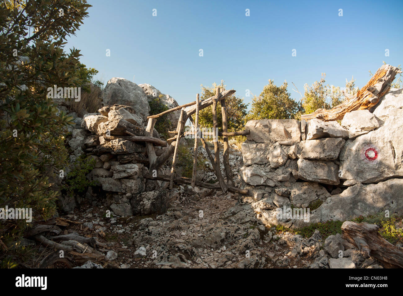 Wooden trail pathway hi-res stock photography and images - Alamy