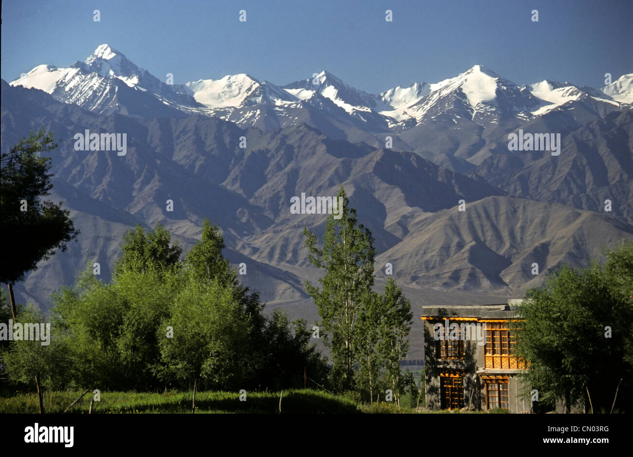 north india ladakh. lhe Stock Photo - Alamy