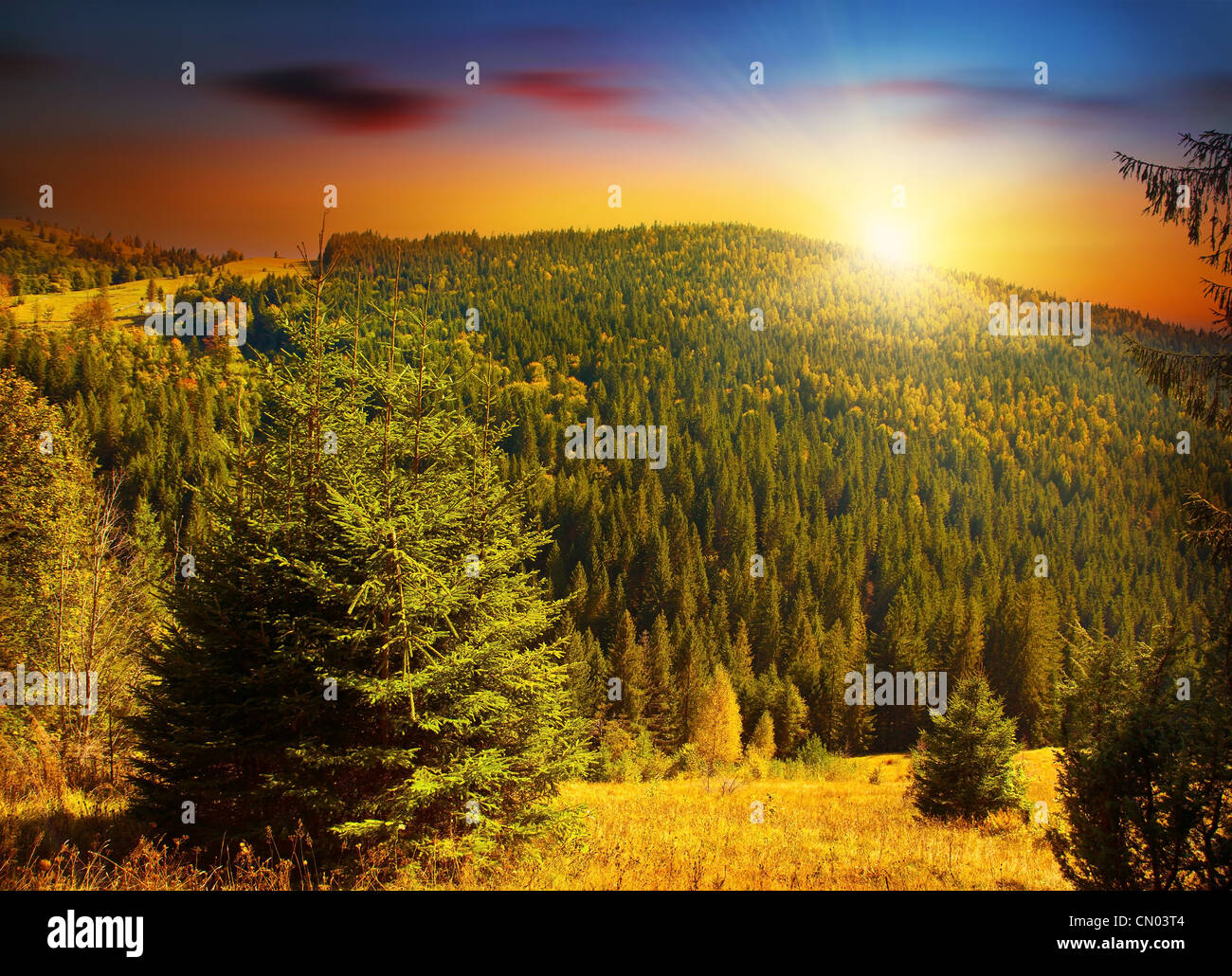 Colorful sunset at forests mountains, peaceful woods landscape of ...