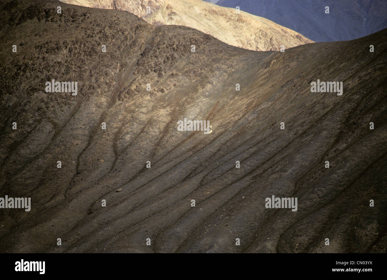 north india ladakh. lhe Stock Photo - Alamy
