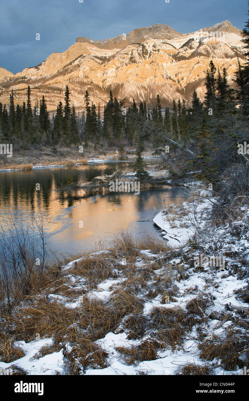 Miette range hi-res stock photography and images - Alamy