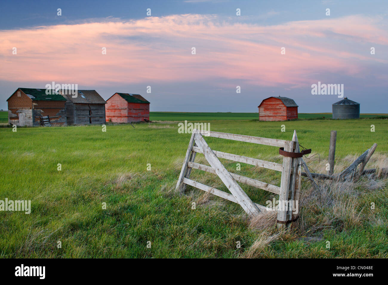 Leader saskatchewan hi-res stock photography and images - Alamy