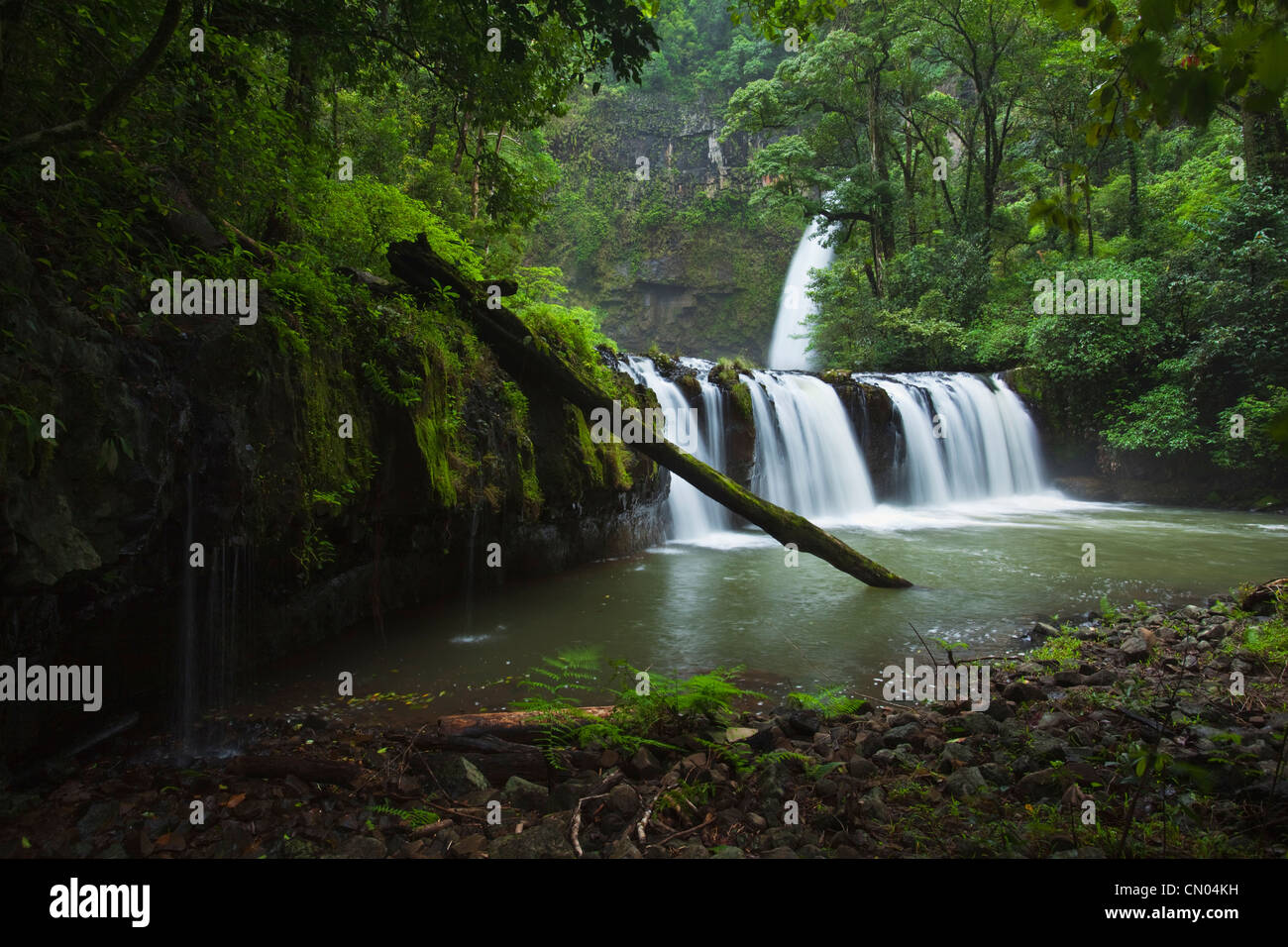 Wooroonooran national park hi-res stock photography and images - Alamy