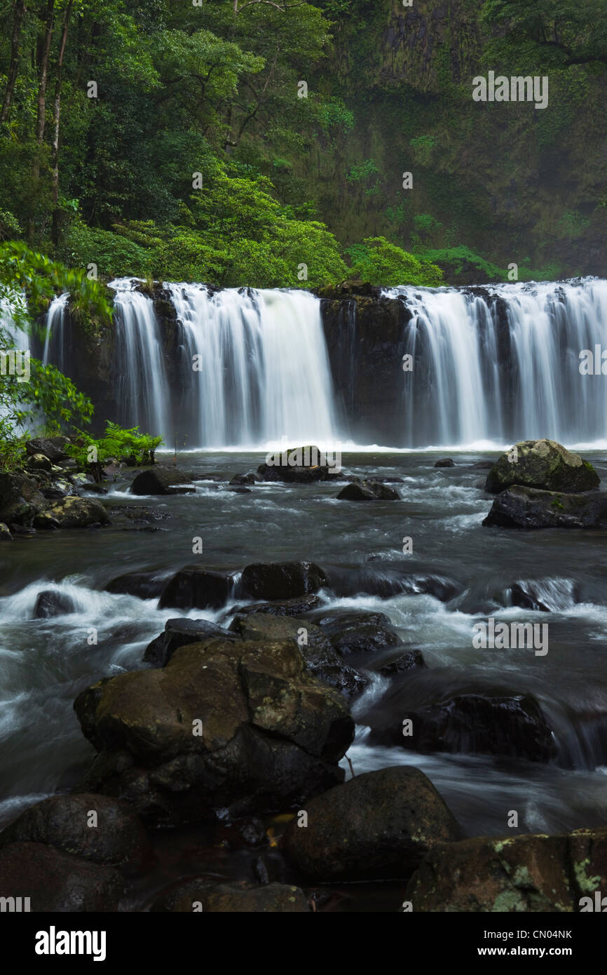 Wooroonooran national park hi-res stock photography and images - Alamy