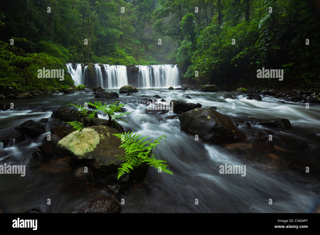 Nandroya Falls in Wooroonooran National Park. Atherton Tablelands ...