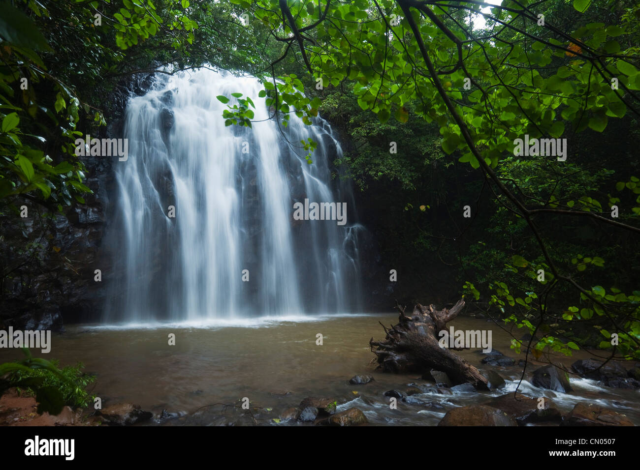 Elinjaa Falls - part of the Waterfalls Circuit on the Atherton ...