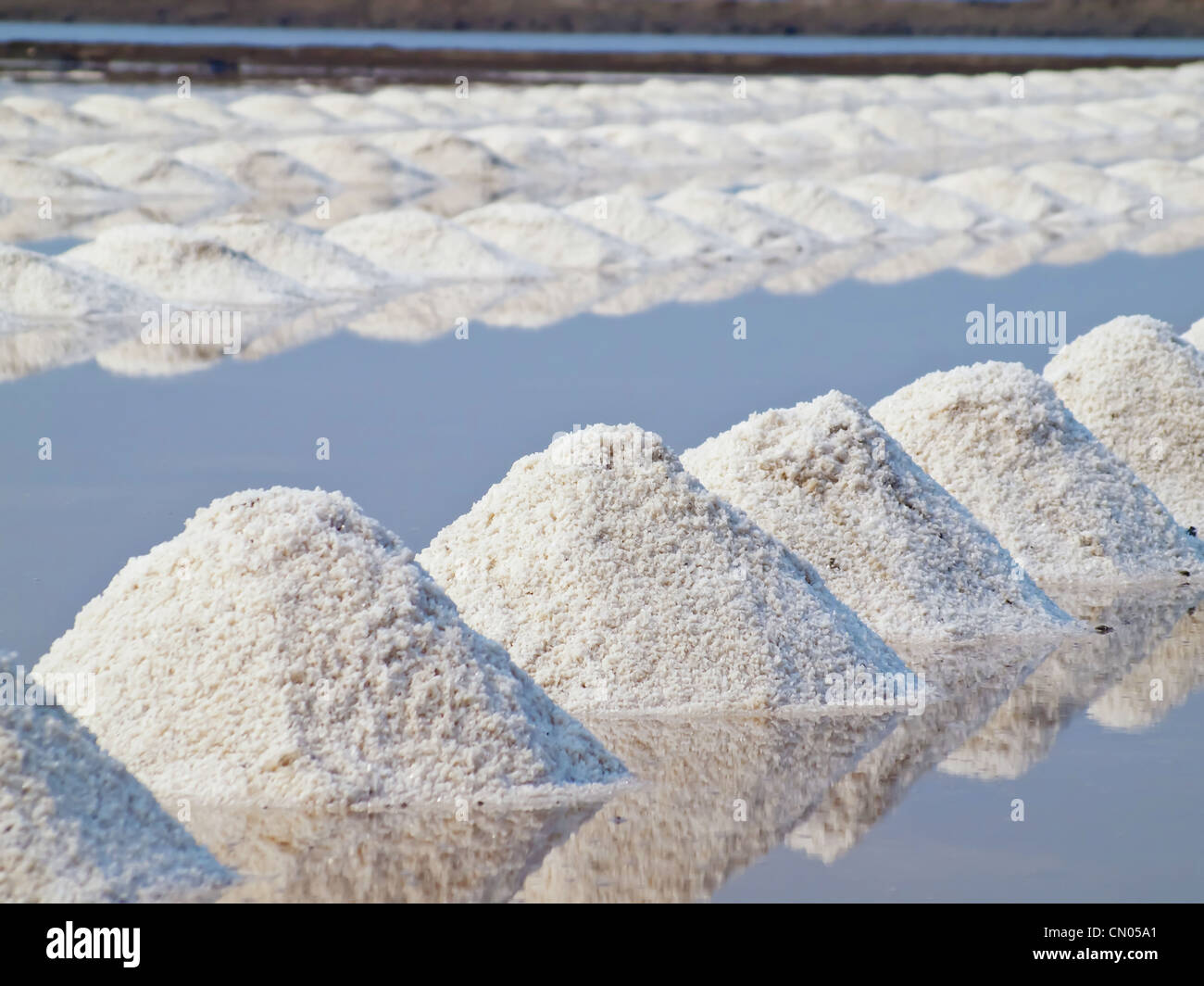 Heap of sea salt in a field Stock Photo - Alamy