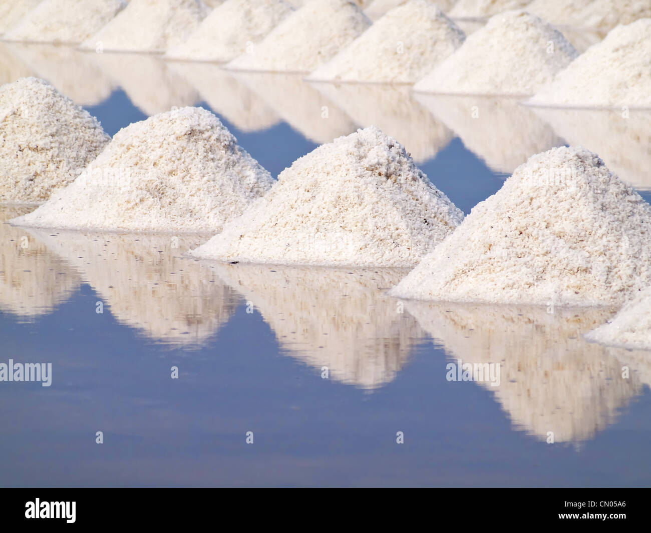 Heap of sea salt in a field Stock Photo - Alamy