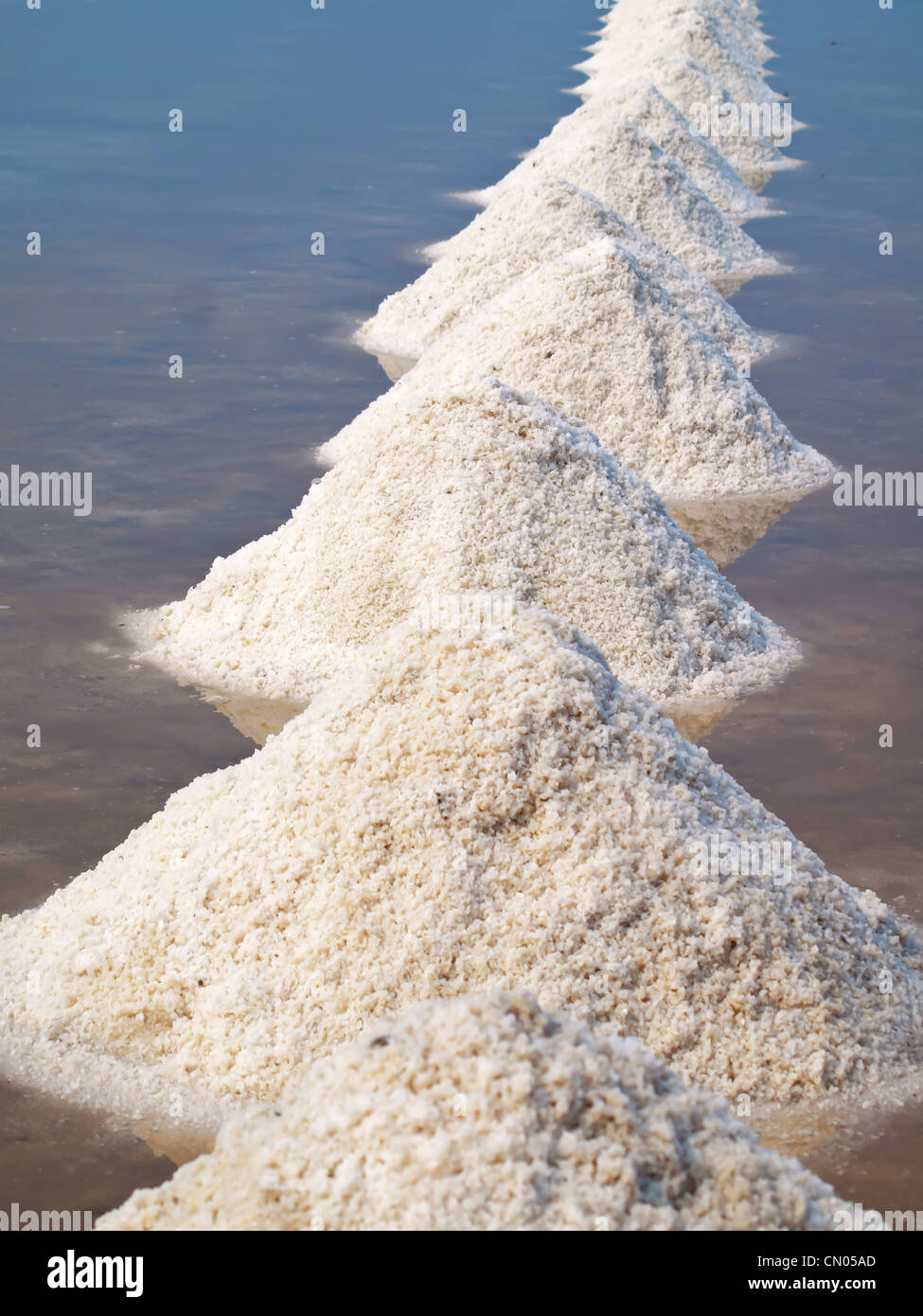 Heap of sea salt in a field Stock Photo - Alamy