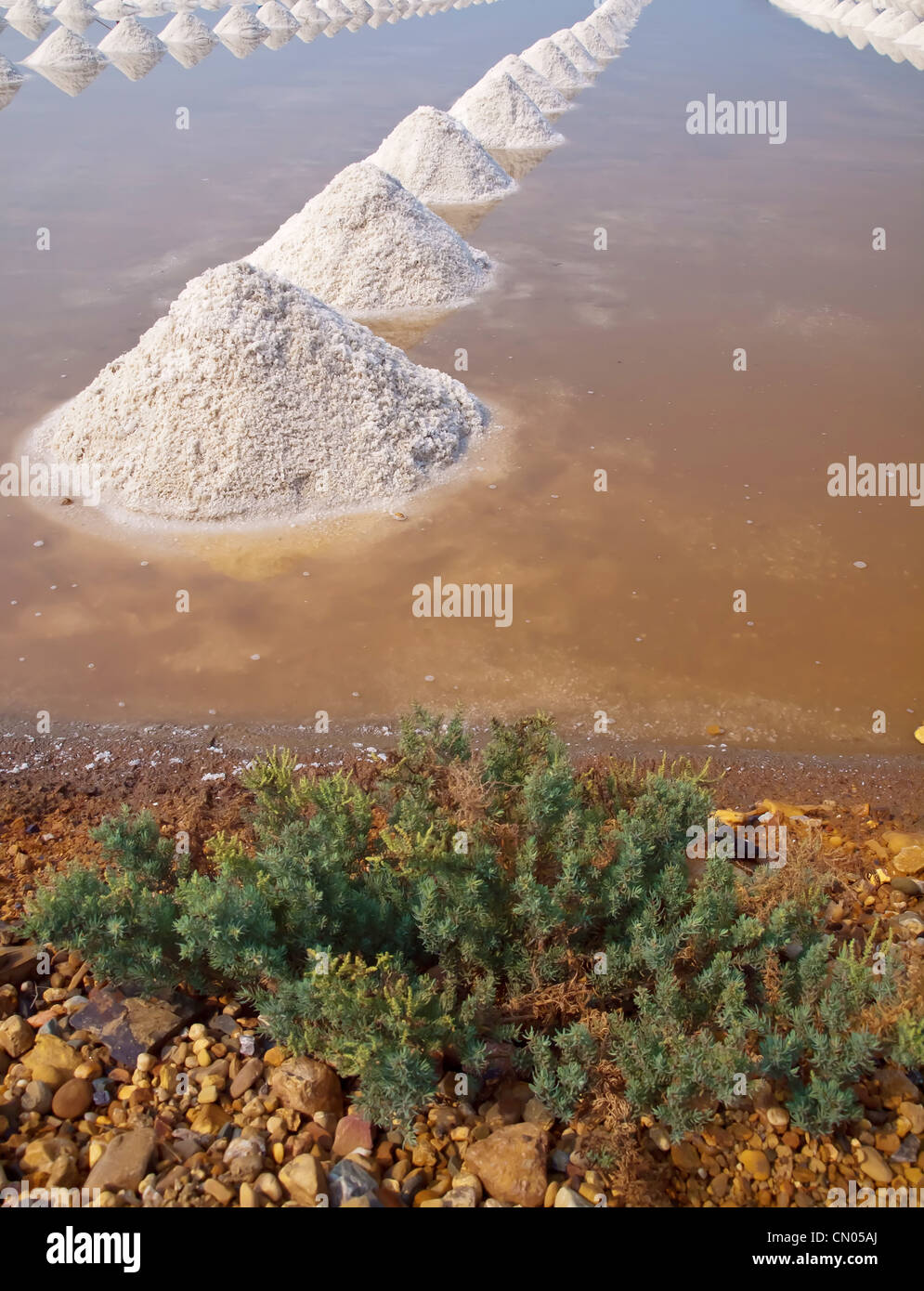 Heap of sea salt in a field Stock Photo - Alamy