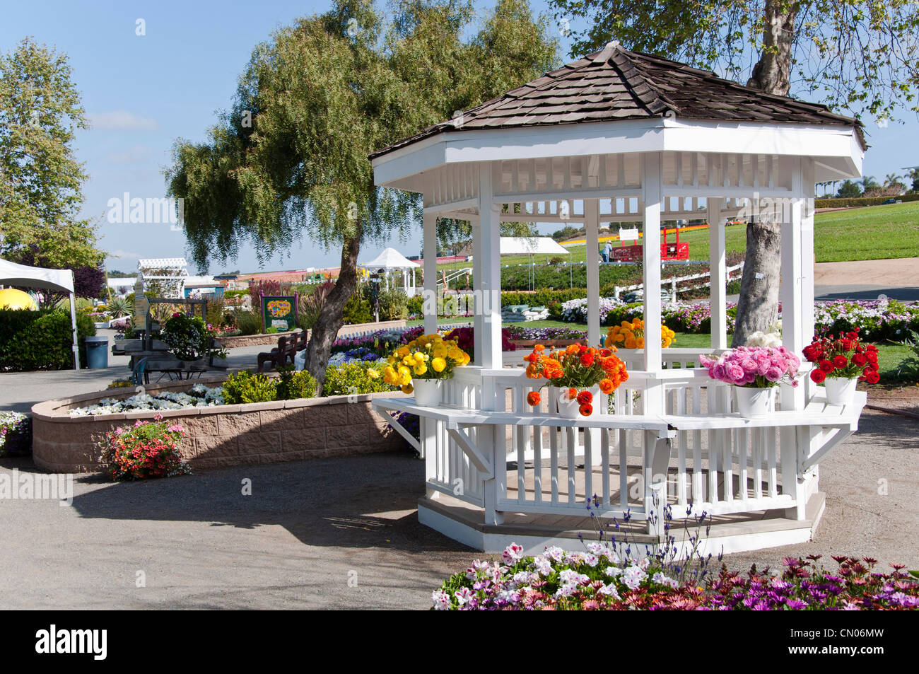 White arbor with flowers Stock Photo - Alamy