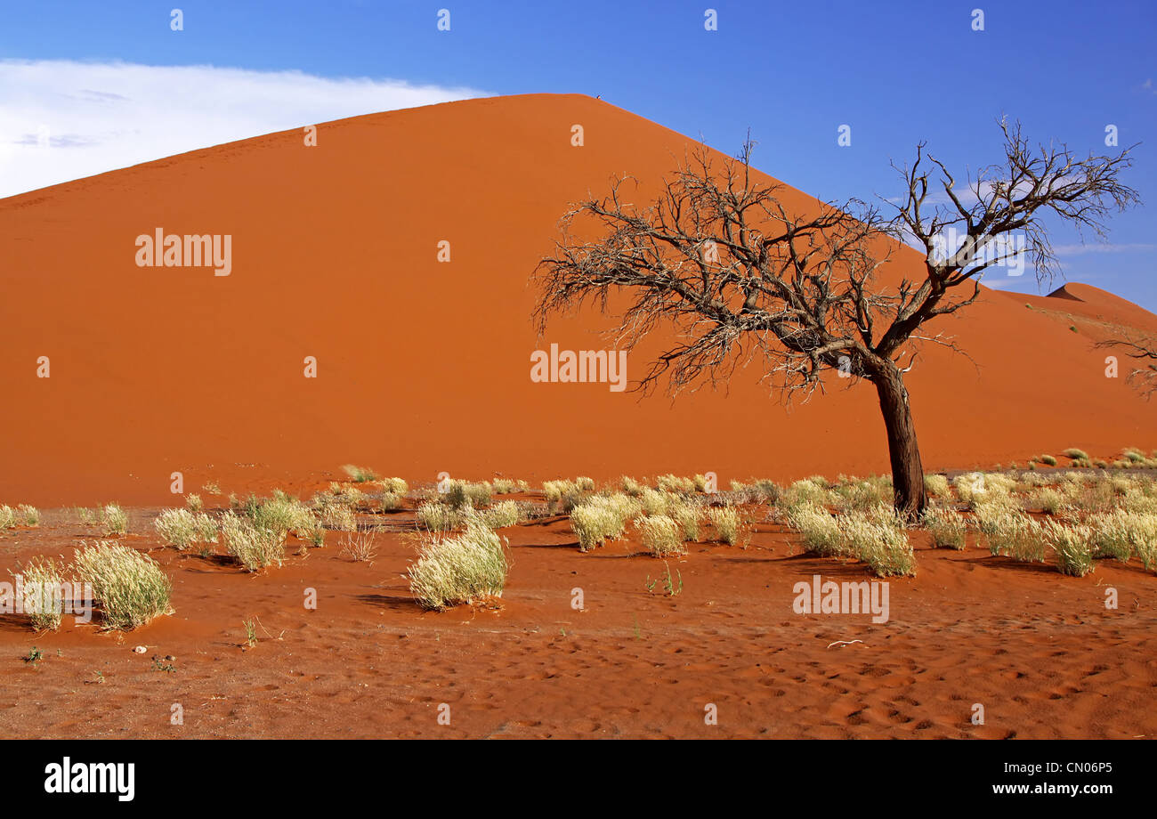 Famous Dune 45, Namib-Desert, Namibia, landscape Stock Photo - Alamy