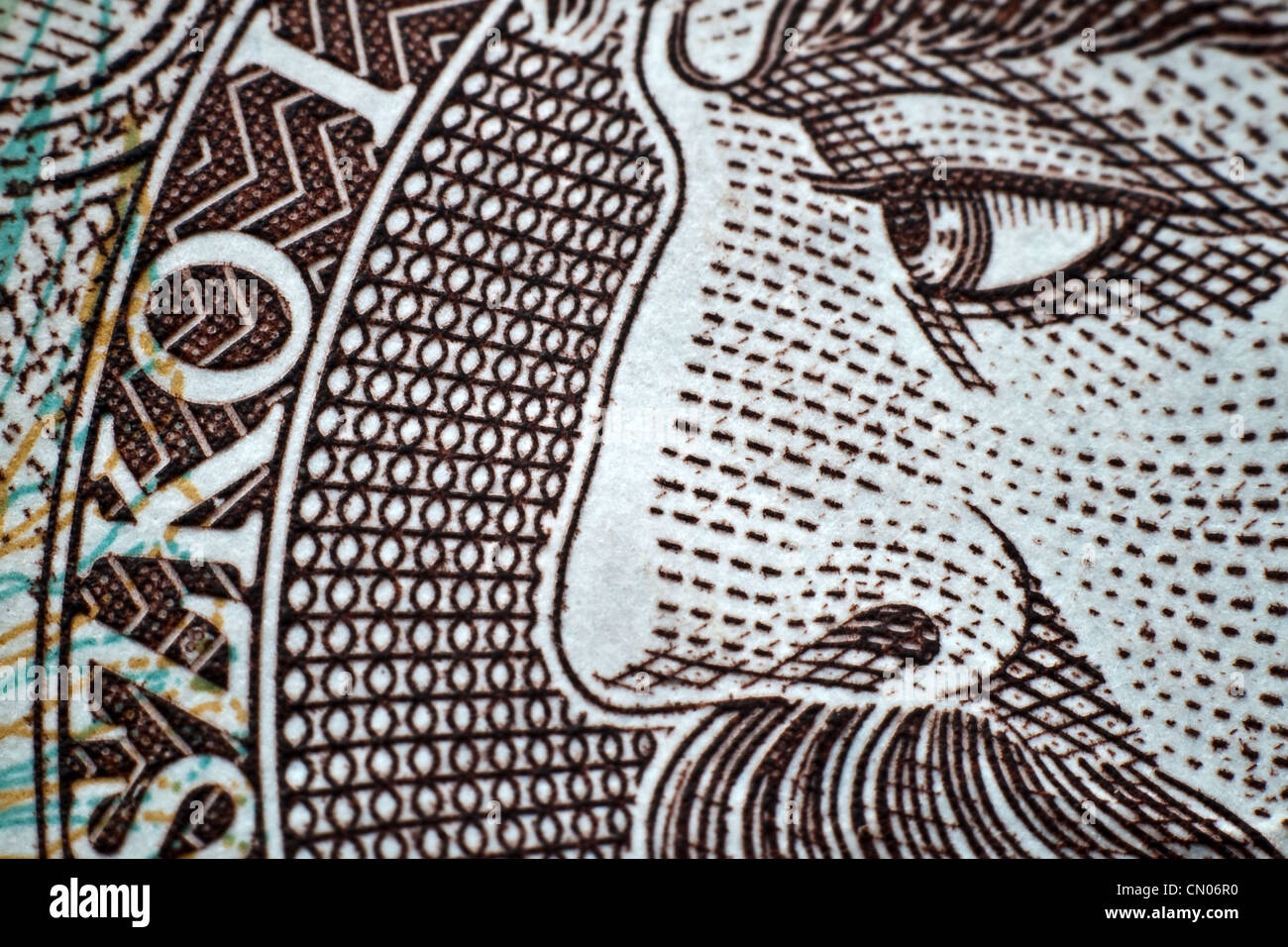 Close-up of a banknote Stock Photo - Alamy