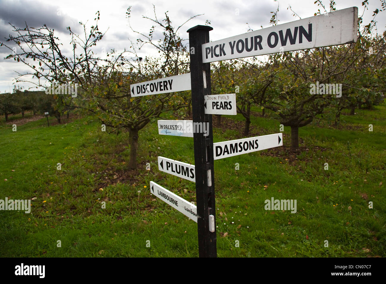 Different directions signs hi-res stock photography and images - Alamy