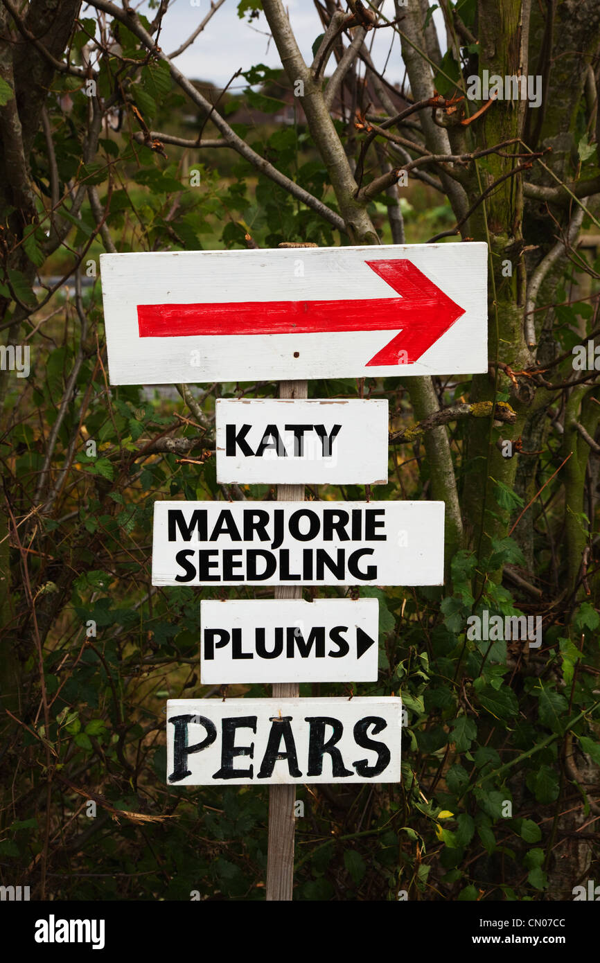 Fruit, Orchard, Pick Your Own, signs pointing the way to rows ...