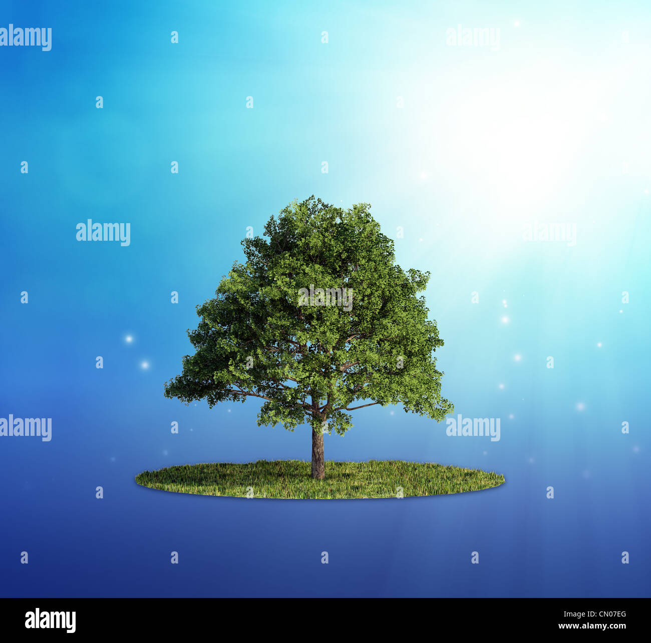 A single tree standing in a patch of grass Stock Photo - Alamy