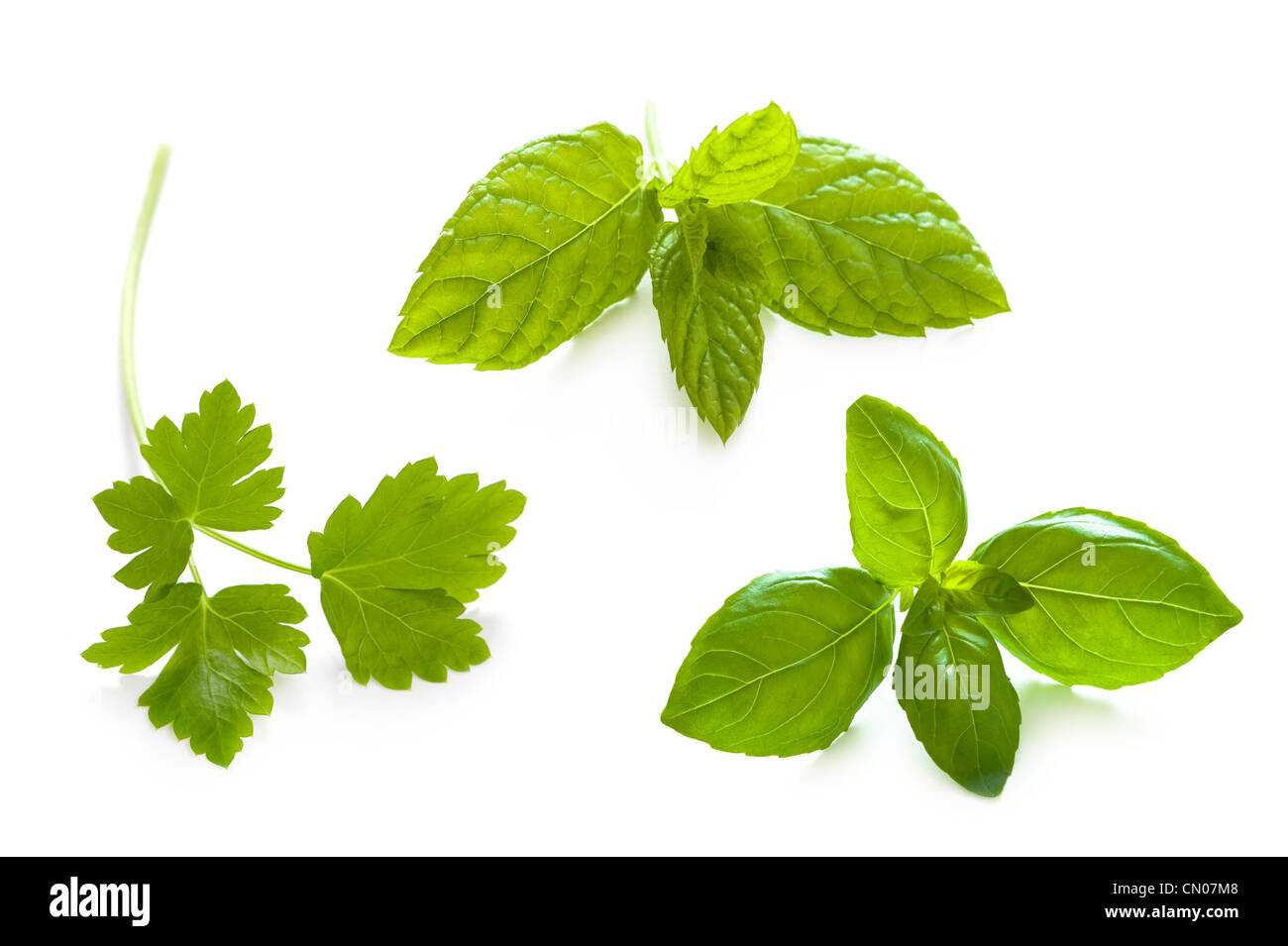 herbs isolated: flat leaved parsley, mint and basil Stock Photo - Alamy