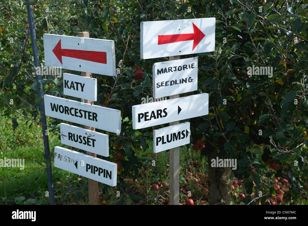 Fruit, Orchard, Pick Your Own, signs pointing the way to rows ...