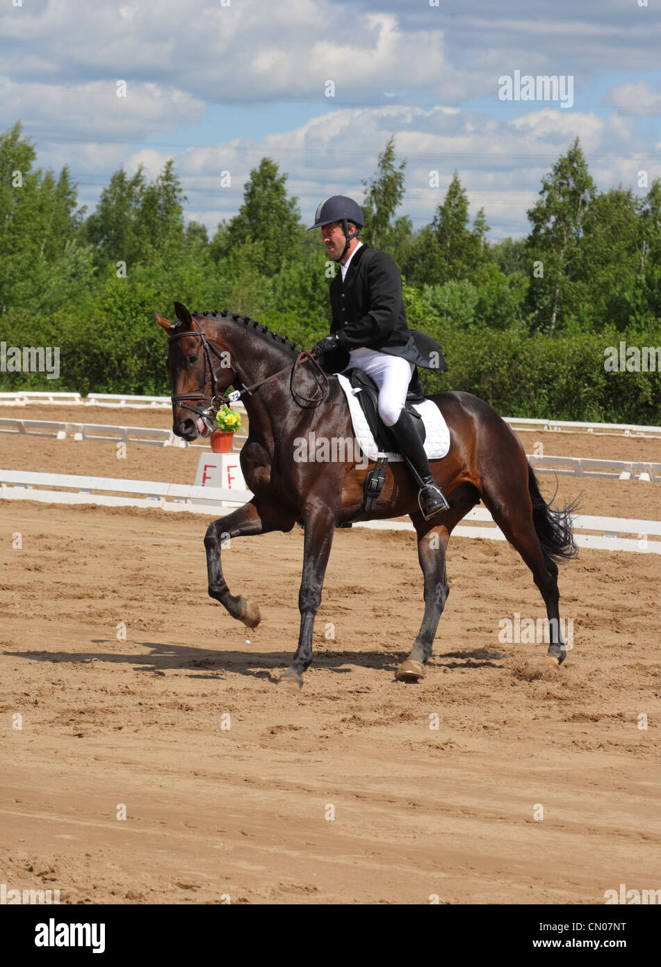 Rider dressage hi-res stock photography and images - Alamy