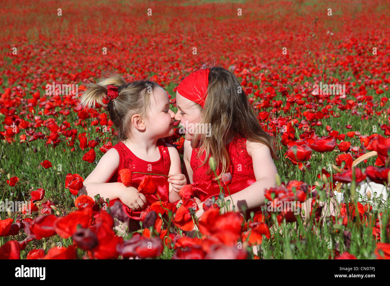 little girls sitting in summer poppy field Stock Photo - Alamy