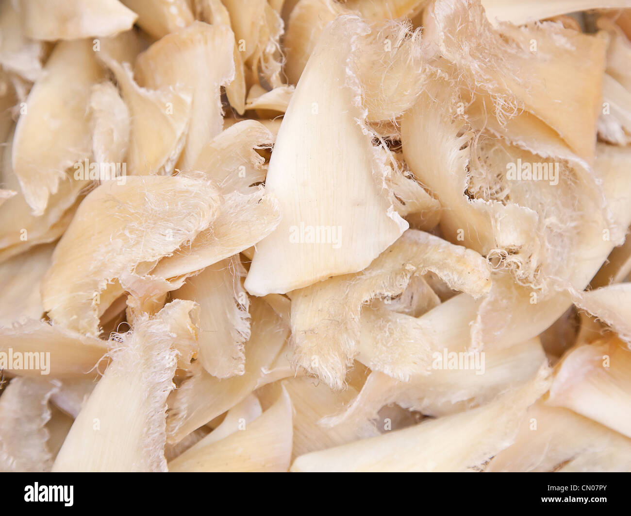 Dried shark fins in the traditional chinese shop Stock Photo - Alamy