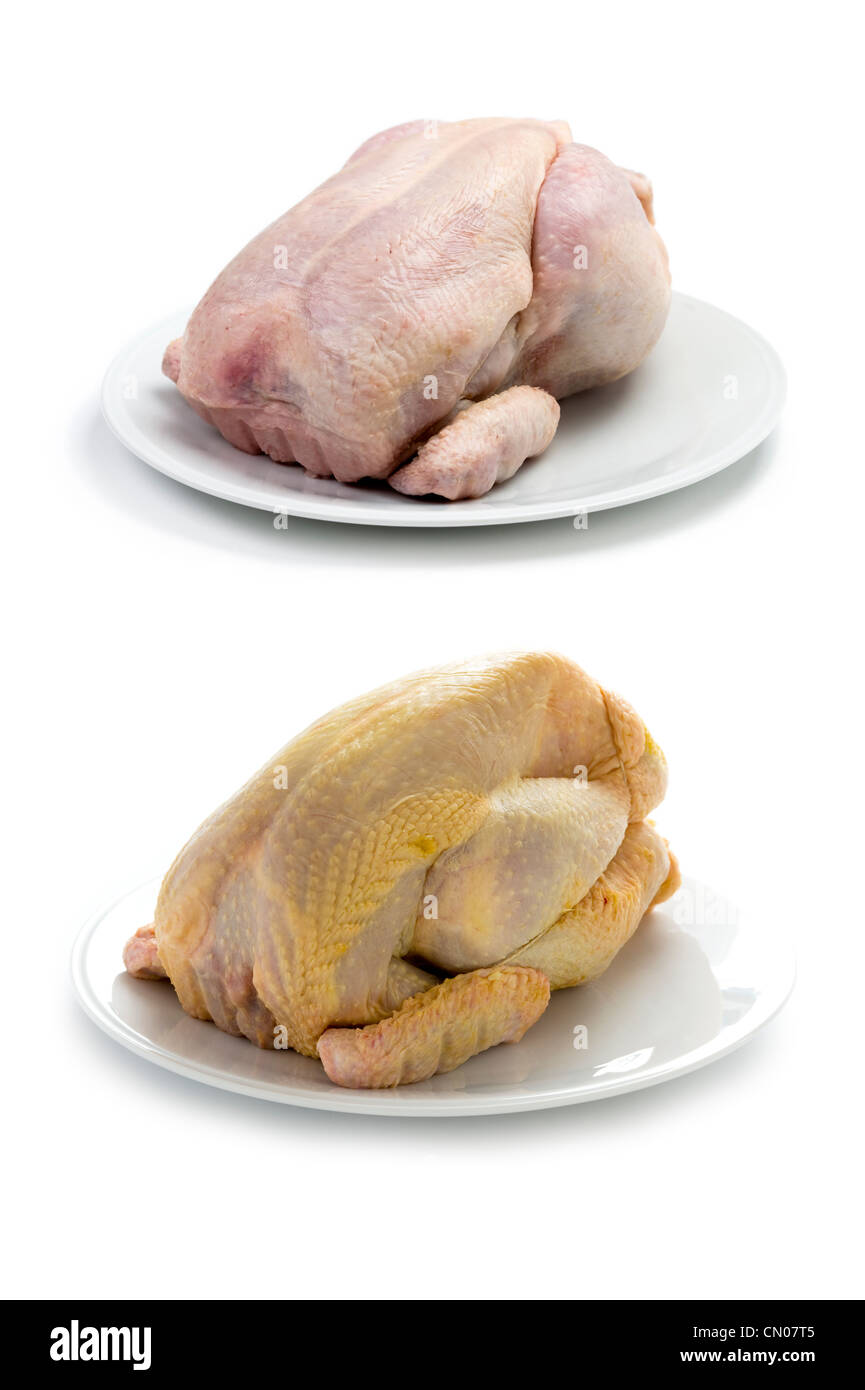 Broiler chicken comparison hi-res stock photography and images - Alamy
