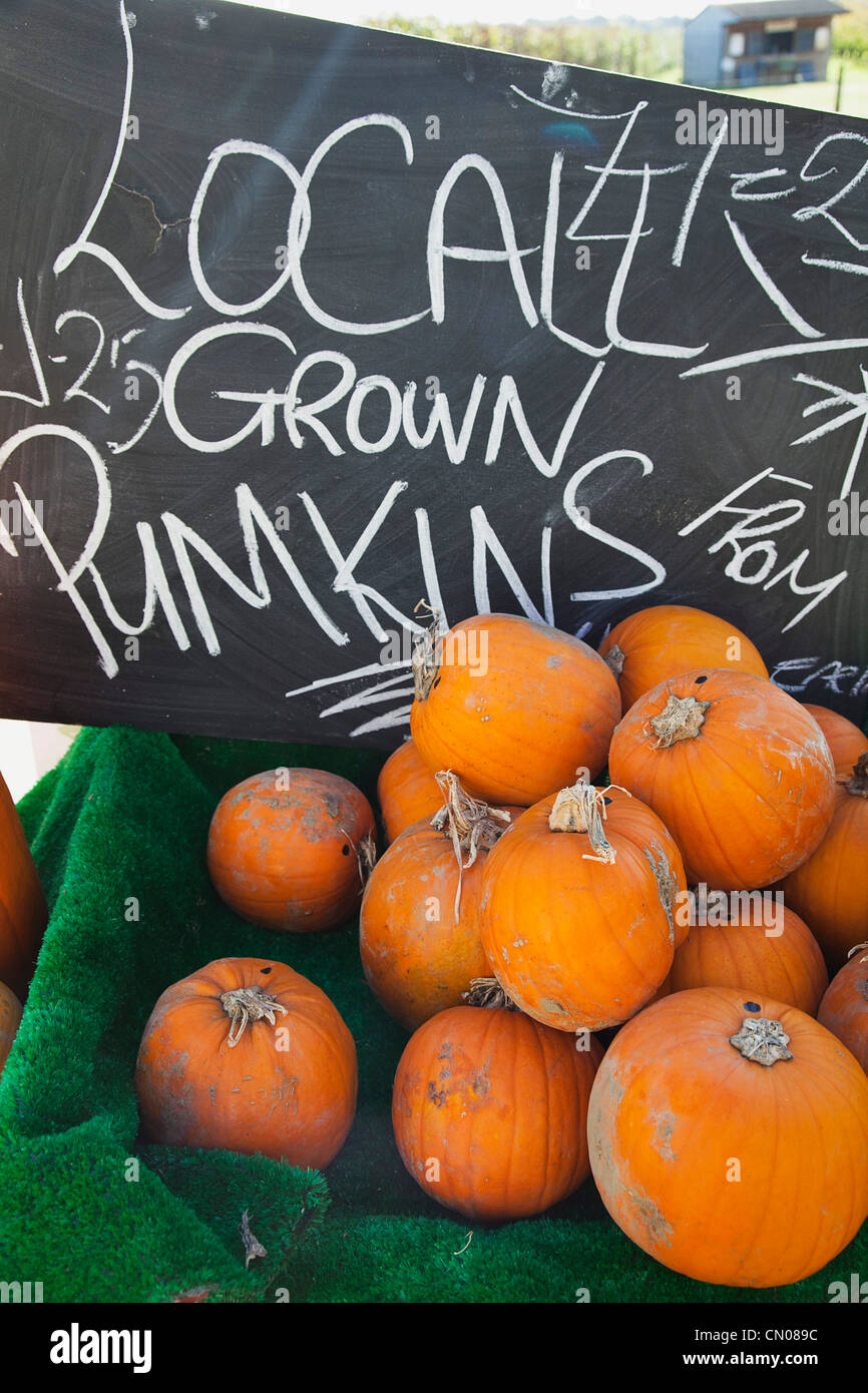 Food, Fruit, Pumpkins for sale at Grange Farms market store Stock Photo ...