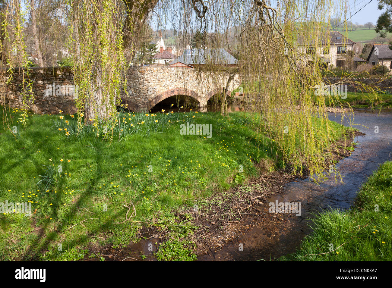 Dalwood Bridge with Spring flowers, Dalwood, Devon Stock Photo - Alamy