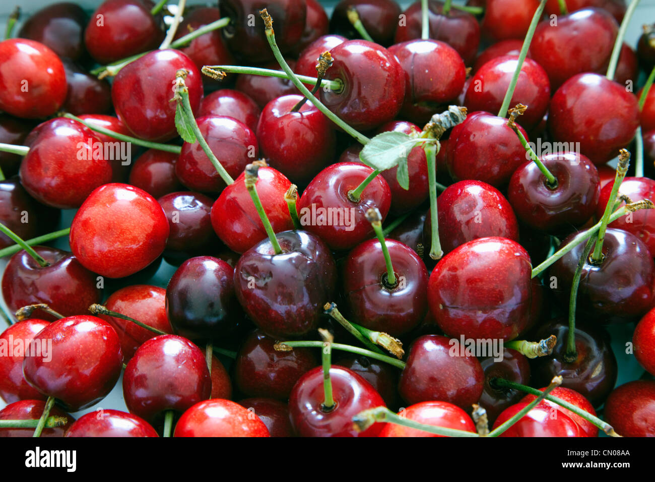 Food, Fruit, Sweet Cherries Stock Photo - Alamy