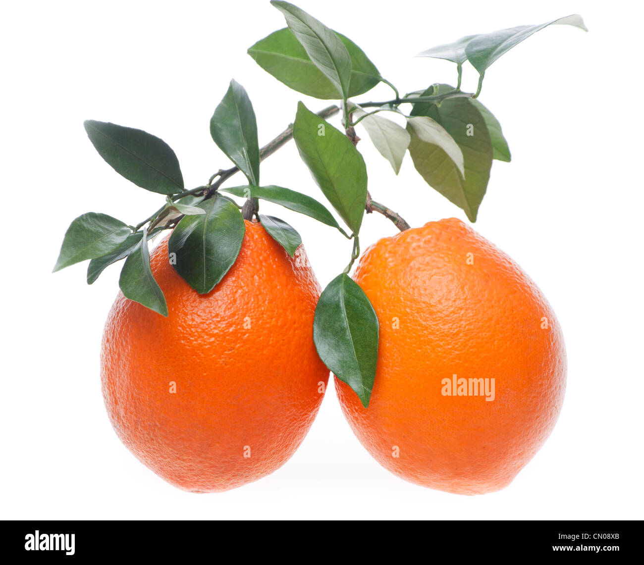 Two oranges hi-res stock photography and images - Alamy