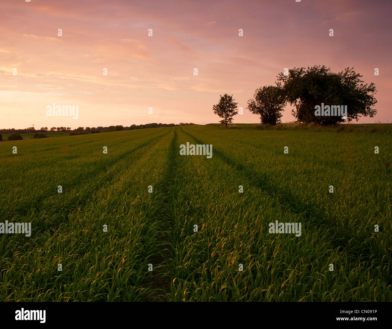 Sunset over fields Stock Photo - Alamy