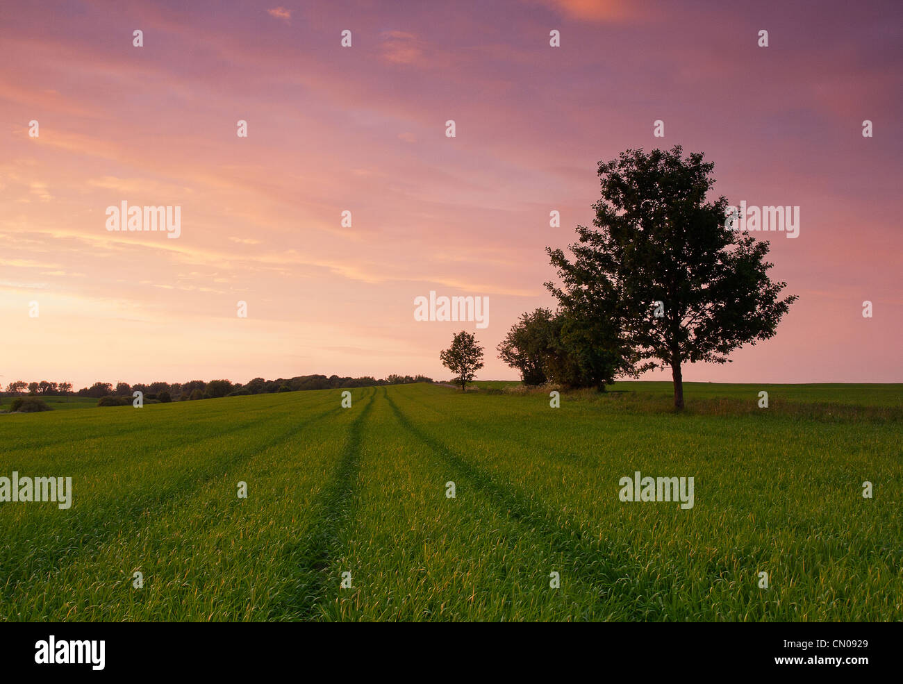 Sunset over fields Stock Photo - Alamy
