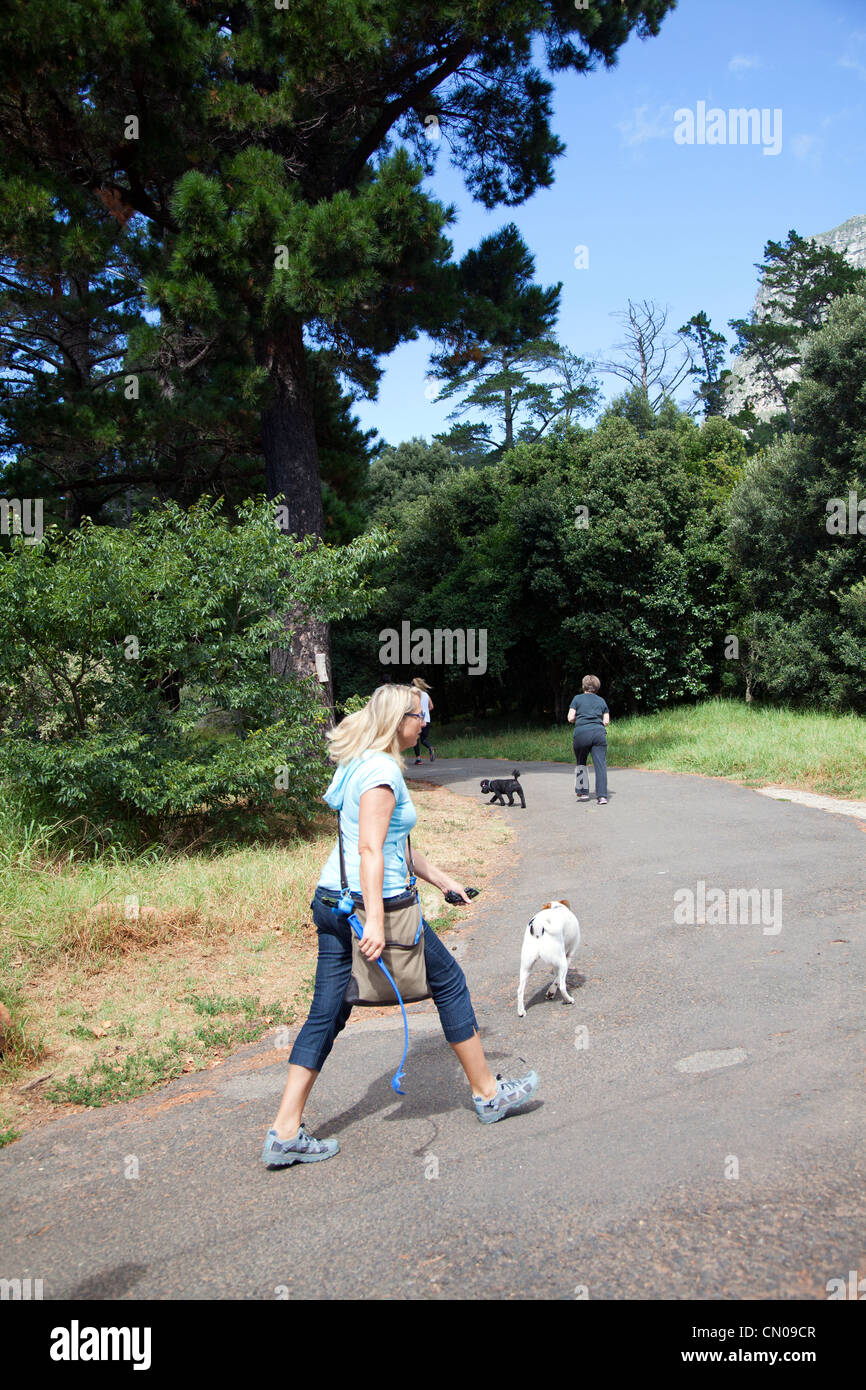 Cape town table mountain nature hi-res stock photography and images - Alamy