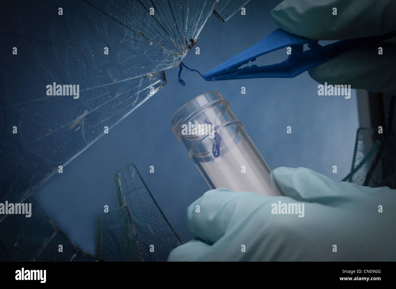 A CSI (Crime Scene Investigator) recovering a fibre on broken glass ...