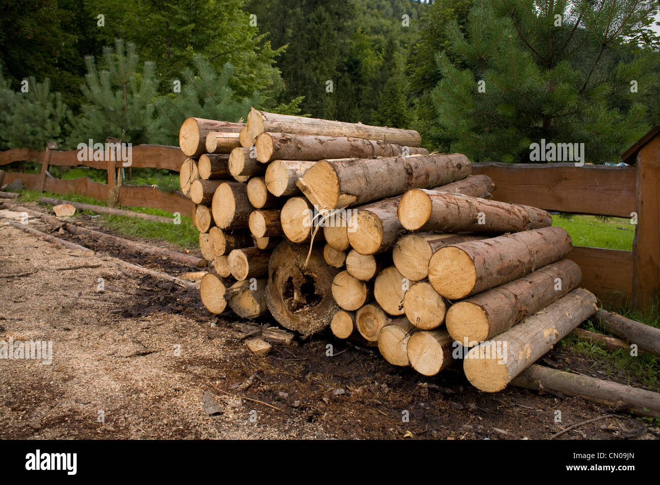 Wood logs in mountain area Stock Photo - Alamy
