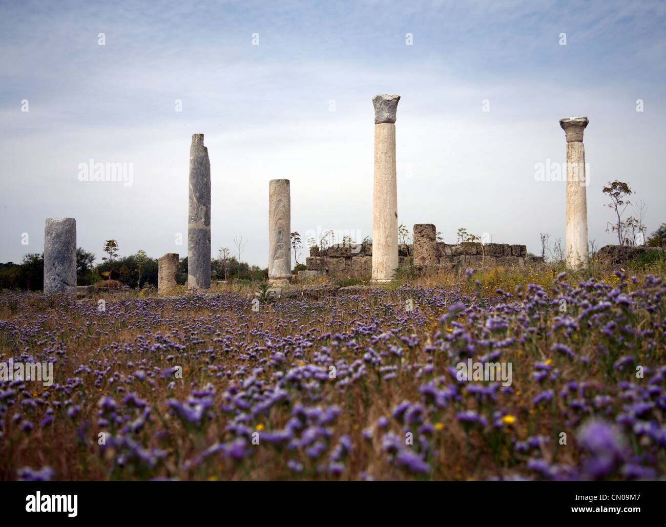 Ancient columns and flowers hi-res stock photography and images - Alamy